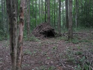 5 Quick and Crude Emergency Shelters for Wilderness Survival